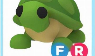 Turtle FR (Adopt-me) - Roblox - Adopt Me - GGMAX