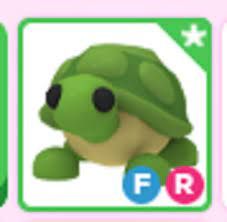 Turtle FR ( Tartaruga) adopt me - Roblox - Adopt Me - GGMAX