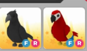 ADOPT ME, PARROT FR E CROW FR!! - Roblox - Adopt Me - GGMAX