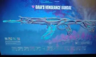 Conta Com Vandal Gaia, Bundle Sentinels - Valorant - Contas - GGMAX