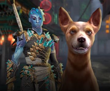 Guild Wars 2 - Pet Dog Whistle: Basenji - Guild Wars 2 - GGMAX