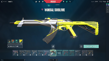 Vandal sublime, Karambit íon e outras - Valorant - Contas - GGMAX