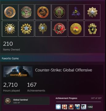 CS:GO - Supremo - 13 medalhas RARAS - - Counter Strike 2 - Contas e ...