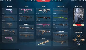 Conta com a butterfly magipunk, vandal - Valorant - Contas - GGMAX