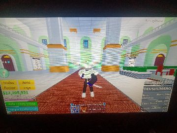 Conta de blox fruit com leopardo - Roblox - Blox Fruits - GGMAX