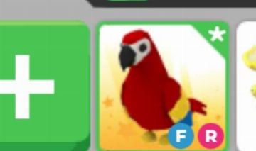 PAPAGAIO PARROT FR NO ADOPT ME!! - Roblox - Adopt Me - GGMAX