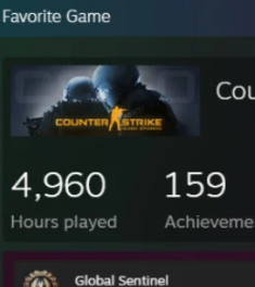 Conta de CS2 com 4000 horas - Counter Strike 2 - Contas e outros - GGMAX