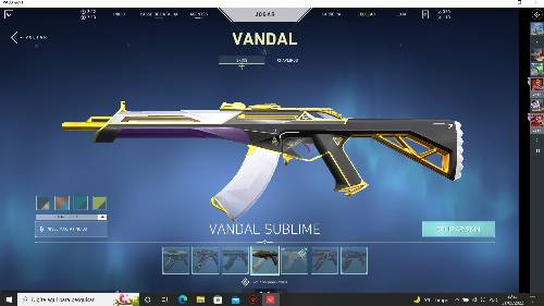 Conta Valorant Muitas Skins Netuno, - Valorant - Contas - GGMAX
