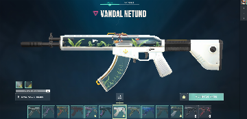 CONTA VALORANT COM XENOCAÇADORA+15 - Valorant - Contas - GGMAX