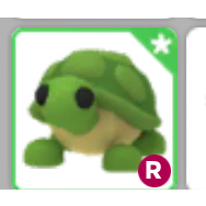 Turtle R ( Tartaruga) adopt me - Roblox - Adopt Me - GGMAX