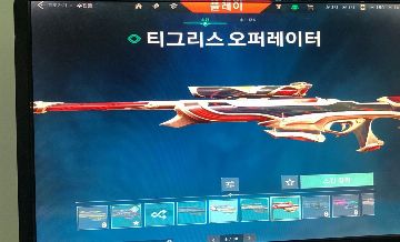 Conta Full Champs Pacote Gaia + - Valorant - Contas - GGMAX