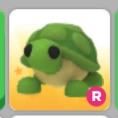 Turtle no Adopt me - Roblox - Adopt Me - GGMAX