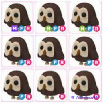 ADOPTE ME - Owl - Coruja (FR) duas - Roblox - Adopt Me - GGMAX