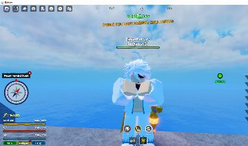 CONTA GPO ROBLOX (LIGHT) - Roblox - Grand Piece - GGMAX