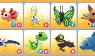 OTIMOS PETS, ADOPT ME - Roblox - Adopt Me - GGMAX