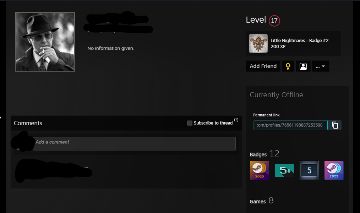 Conta Steam Level 7 faceit e 17 gc - Counter Strike 2 - Contas e outros ...