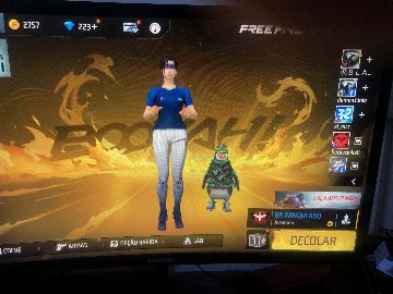 CONTA COM ROUPA DO APELAPATO E VÁRIOS - Free Fire - Contas Free Fire ...